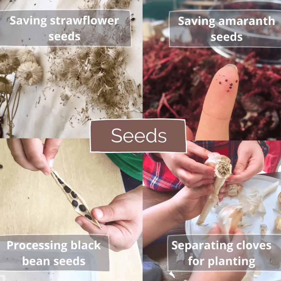 8 Preschool Garden Themes with Activities - Sustainable Play Preschool